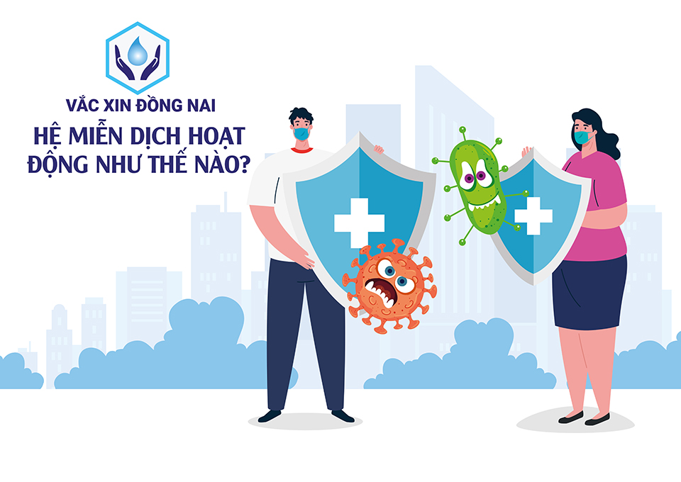 Tìm hiểu miễn dịch là gì sinh học 8 và hệ thống miễn dịch trong cơ thể ...